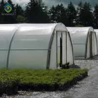 China 0.5KN/M2 Clear Polythene Single Tunnel Greenhouse for sale