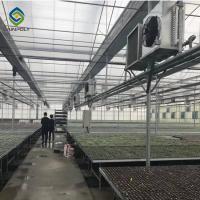 China 20-33ft pe film multi span plastic shed film greenhouses for agriculture for sale