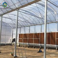 China 20-33ft pe film multi span plastic shed film greenhouses for agriculture for sale