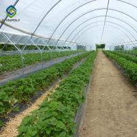 China 0.20mm Cucumber Plant Pe Film Single Tunnel Greenhouse for sale