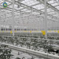China Hydroponic 9.6m Multi Span Pc Greenhouse For Agriculture for sale