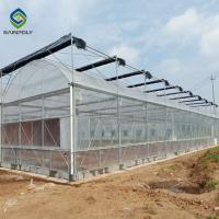 China 10m Hot Dip Galvanized Steel Frame Multi Span Greenhouse for sale