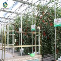 China 10m Hot Dip Galvanized Steel Frame Multi Span Greenhouse for sale