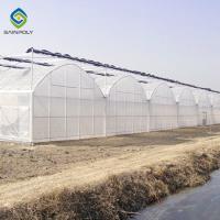 China Commercial 200 Micron Film 0.50KN/M2 Multi Span Greenhouse for sale