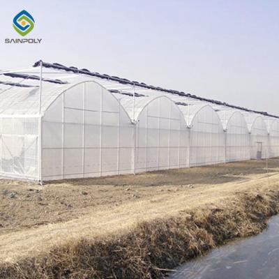 China Commercial 200 Micron Film 0.50KN/M2 Multi Span Greenhouse for sale