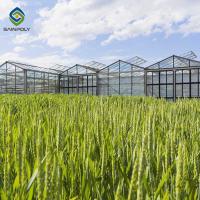 China Vegetable Plant Commercial Glass Greenhouse Span Width 9.6 / 10.8 / 12m for sale