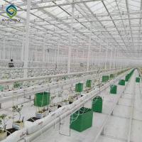 China Strong Structure Large Glass Greenhouse , Venlo Glass Greenhouse Single Layer for sale
