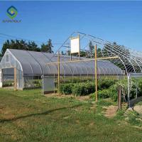 China 10m Single Span Tunnel Greenhouse With Cooling System for sale