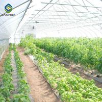 China 10m Single Span Tunnel Greenhouse With Cooling System for sale