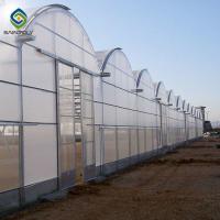 China Vegetable Multi Span 3.0m Arch PC Sheet Greenhouse for sale
