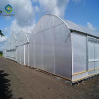 China Arch Roof 10.8m PC Sheet Greenhouse Flower Growing for sale