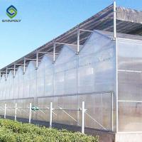 China 12m Multi Span Clear Polycarbonate PC Sheet Greenhouse for sale