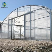 China Commercial Multi Span Greenhouse Galvanized Steel PC Sheet Span 12m for sale