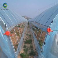 China Hot Galvanized Steel 12m Single Tunnel Greenhouse for sale