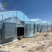 China 0.5KN/M2 Clear Polythene 4m Single Tunnel Greenhouse for sale