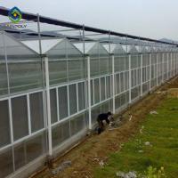 China Mulit Span 9.6m Galvanized Commercial Glass Greenhouse for sale