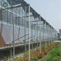 China Mulit Span 9.6m Galvanized Commercial Glass Greenhouse for sale