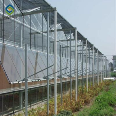 China Mulit Span 9.6m Galvanized Commercial Glass Greenhouse for sale