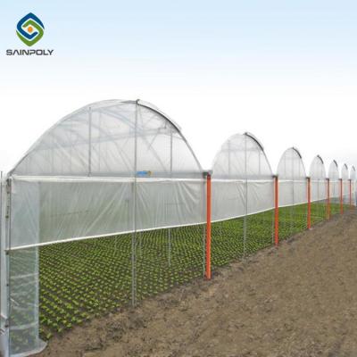 China Elliptical Pepper 8.0m Plastic Polyethylene Film Greenhouse for sale