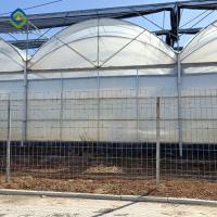 China Commercial 0.15mm Polyethylene Film Greenhouse For Tomato for sale
