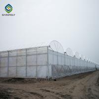 China Commercial 0.15mm Polyethylene Film Greenhouse For Tomato for sale