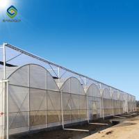 China 33ft Pe Elasticity Elliptical Plastic Film Greenhouse for sale