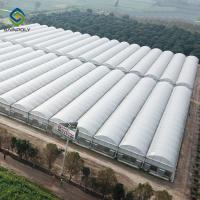China 33ft Pe Elasticity Elliptical Plastic Film Greenhouse for sale