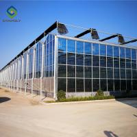 China Alloy Transparent 9.6m Commercial Glass Greenhouse for sale