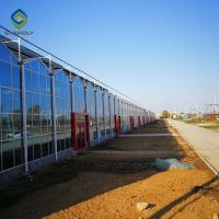 China Alloy Transparent 9.6m Commercial Glass Greenhouse for sale