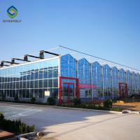 China Alloy Transparent 9.6m Commercial Glass Greenhouse for sale