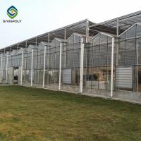 China Wind Galvanized Steel 12m Multi Span Glass Greenhouse for sale
