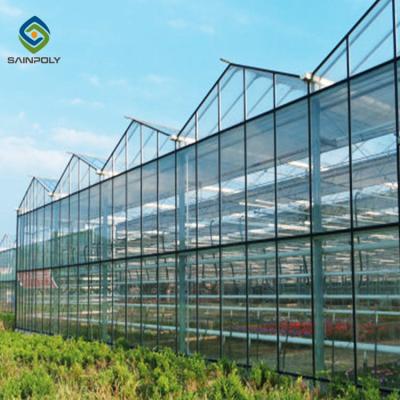 China Wind Galvanized Steel 12m Multi Span Glass Greenhouse for sale