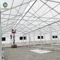 China Heat Resistance Skeleton 12m Flower Polycarbonate Greenhouse for sale