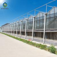 China Exhibition Multi Span Polycarbonate Plastic Greenhouse for sale