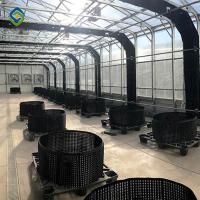 China 30m Herbs Automated Light Deprivation Greenhouse for sale