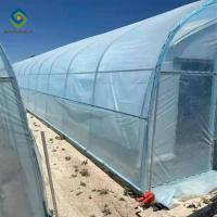 China 33ft Pe Film Skeleton Dustproof Single Tunnel Greenhouse for sale