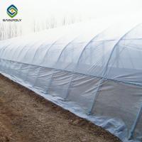 China 0.5KN/M2 Clear Polythene 4m Single Tunnel Greenhouse for sale
