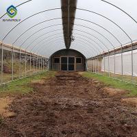 China 0.5KN/M2 Clear Polythene 4m Single Tunnel Greenhouse for sale