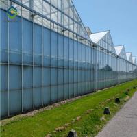 China Vegetable Plant 0.15KN/M2 9.6m Commercial Glass Greenhouse for sale