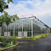 China Vegetable Plant 0.15KN/M2 9.6m Commercial Glass Greenhouse for sale