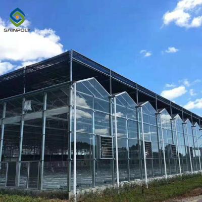 China Vegetable Plant 0.15KN/M2 9.6m Commercial Glass Greenhouse for sale