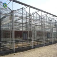 China Agricultural 120km/H 12m 10.8m Glass Multi Span Greenhouse for sale