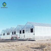 China Layer Commercial Garden Clear 12m Flower PC Sheet Greenhouse for sale