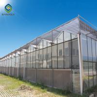 China Layer Commercial Garden Clear 12m Flower PC Sheet Greenhouse for sale