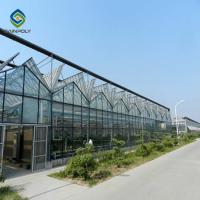 China Multi Span Commercial Venlo Greenhouse Structure Tempered Glass Covered for sale