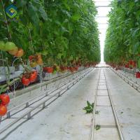 China Garden Transparent 12m Flower PC Sheet Greenhouse for sale