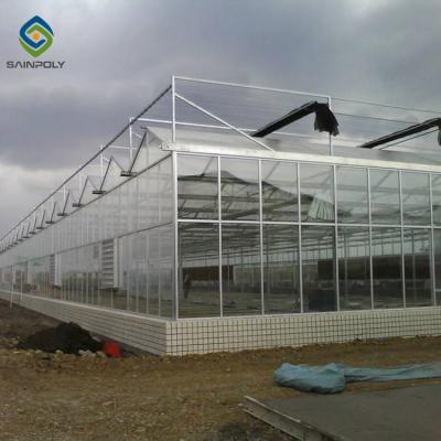 China Multi Span Commercial Venlo Greenhouse Structure Tempered Glass Covered for sale