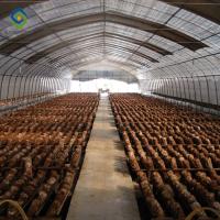 China 10m Plastic Shed Automated Light Deprivation Greenhouse For Mushroom for sale