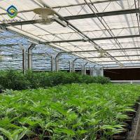 China 10m Plastic Shed Automated Light Deprivation Greenhouse For Mushroom for sale
