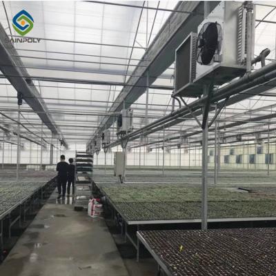 China Elliptical Pepper 8.0m Plastic Polyethylene Film Greenhouse for sale